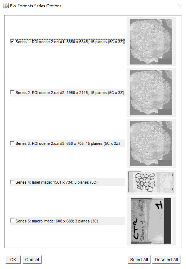 CZI slide scanner image - BIO-formats - Usage & Issues - Image.sc Forum