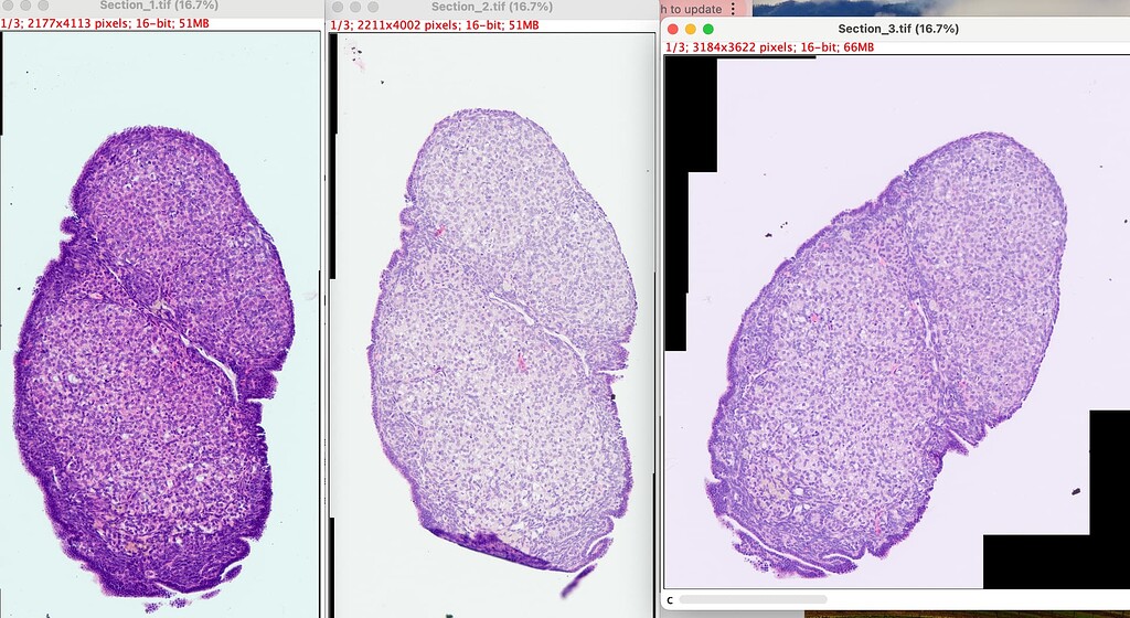 Automating image alignment - Image Analysis - Image.sc Forum