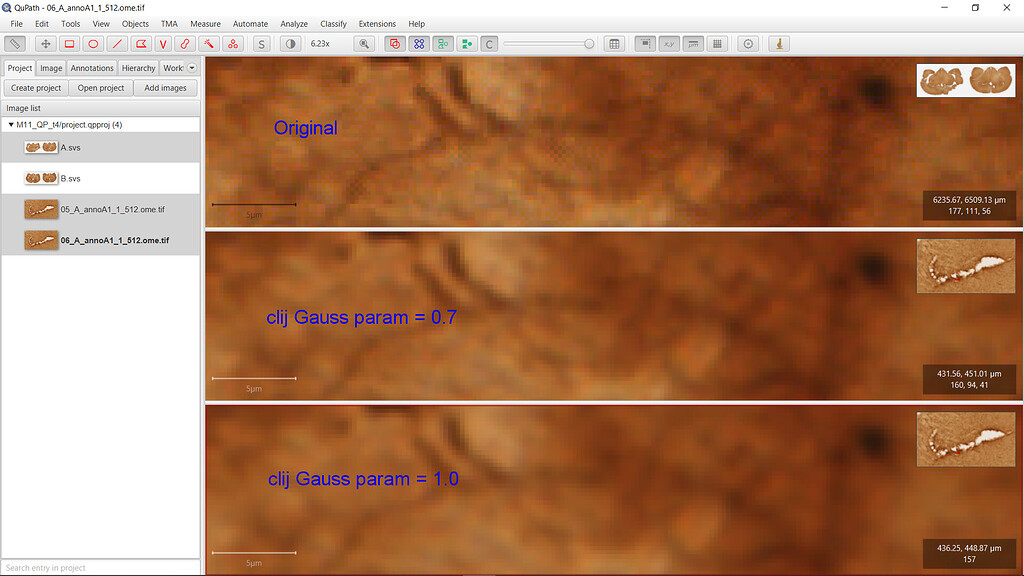 ᴗ•)/ QuPath scripting (#1): Using CluPath to save smoothed image regions - Usage & Issues ...