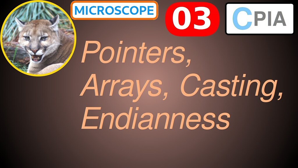 C Programming - Pointers, Arrays, Casting and Endianness - Announcements - Image.sc Forum