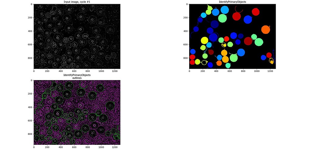 Optimizing Segmentation and Measurement in CellProfiler - Image Analysis - Image.sc Forum