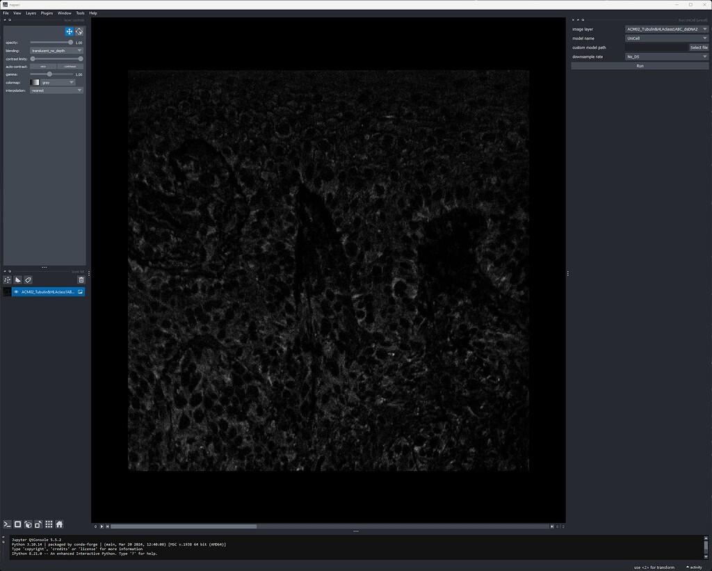 Help with napari unicell plugin - Usage & Issues - Image.sc Forum