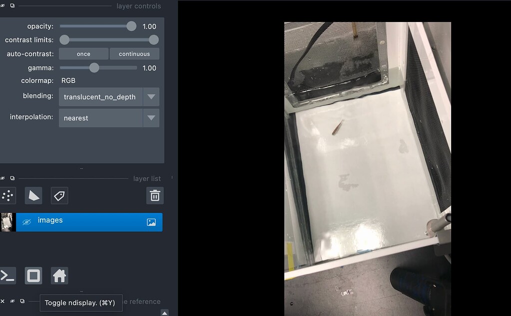 Can't label frames - Usage & Issues - Image.sc Forum