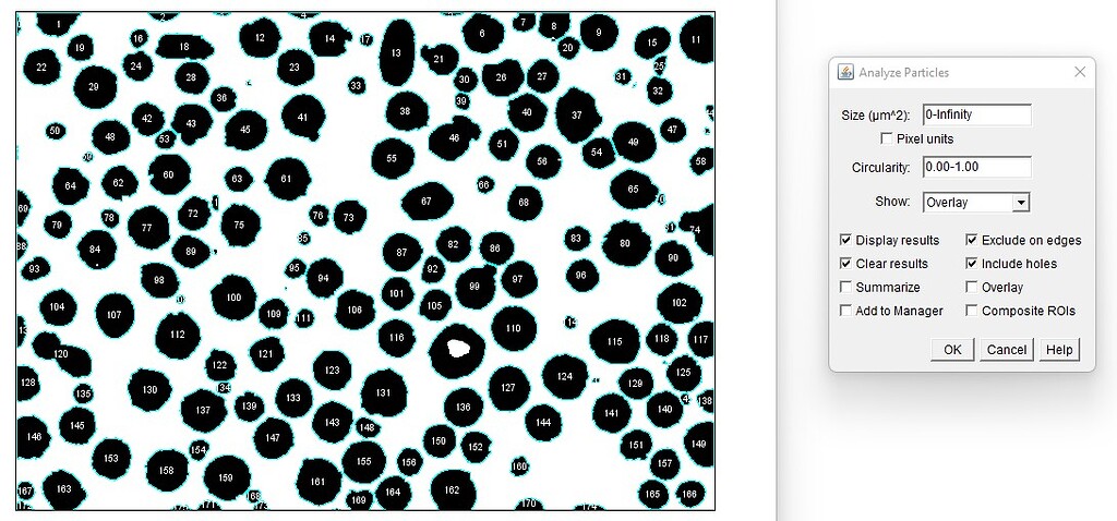 "Exclude on Edges" doesnt seem to be excluding my edge particles - Usage & Issues - Image.sc Forum