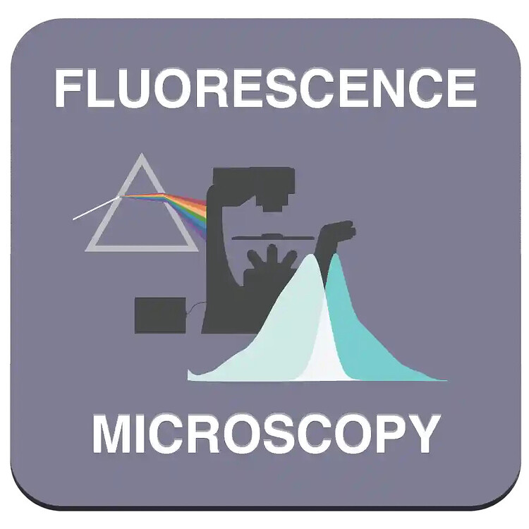 A new interactive, virtual and free course on fluorescence microscopy ...