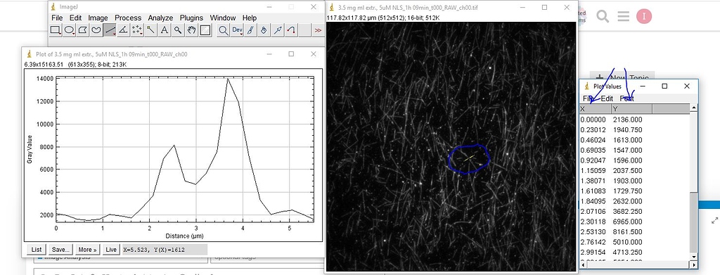 Intensity along a line with a "pixel-relative" coordiantes - Image ...