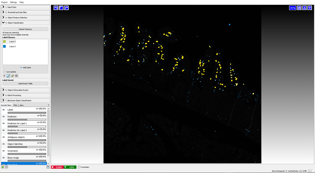 Ilastik mismatch in object classification - Image Analysis - Image.sc Forum