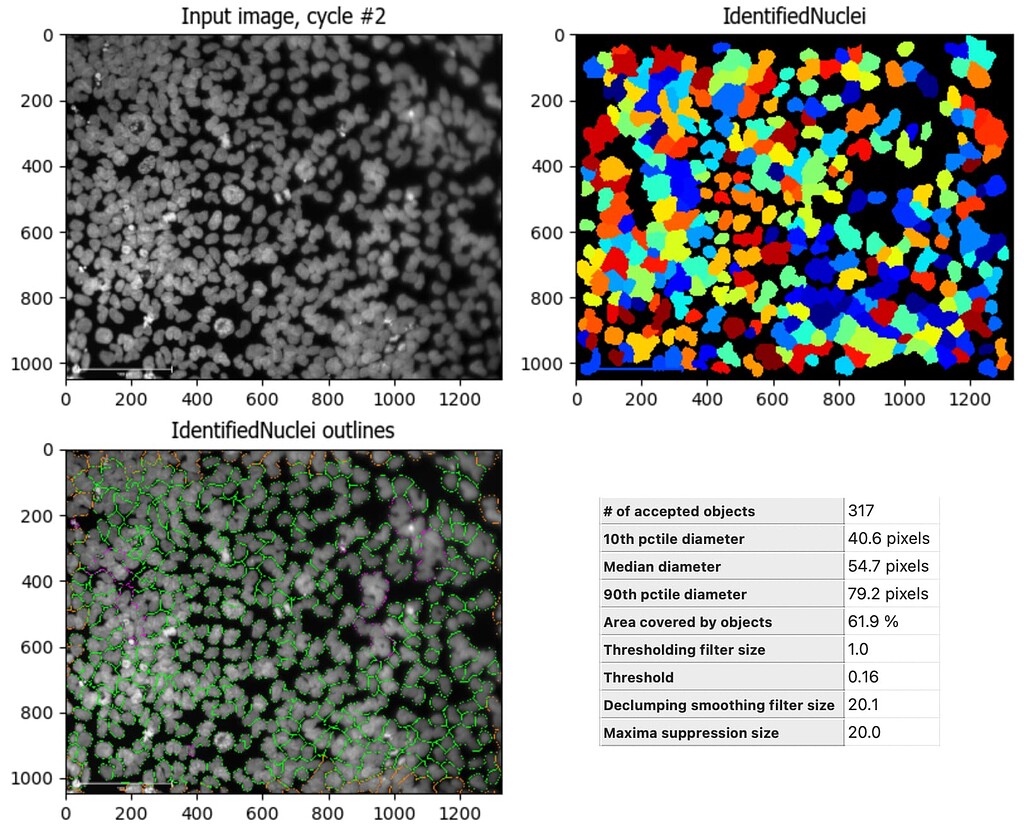 Declumping Nuclei When Identifying As Primary Objects Image Analysis Image Sc Forum