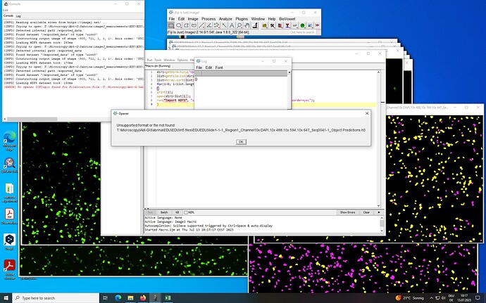 Is there a way to open a complete folder with .h5 images at once? - Usage & Issues - Image.sc Forum