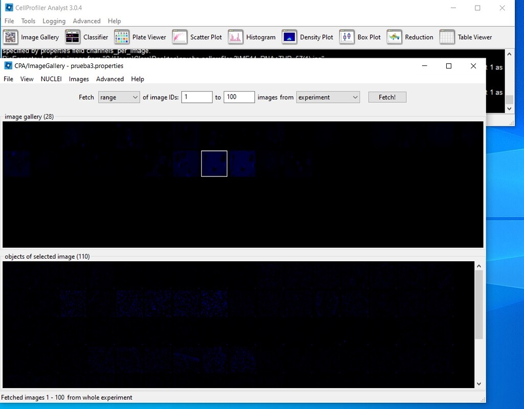 Cellprofiler Analyst don't load trainingset correctly - Usage & Issues - Image.sc Forum