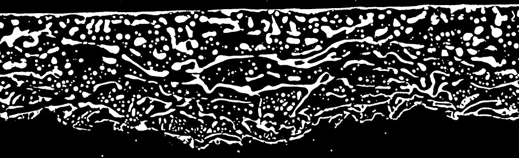 How to Combine Skeletonize and Analyze particles? - Image Analysis - Image.sc Forum