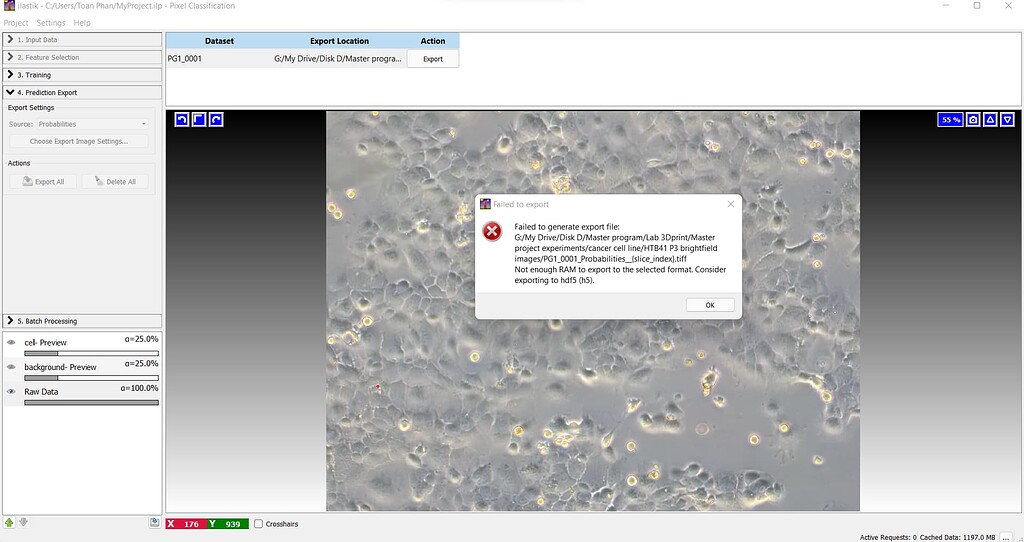 Not enough RAM to export the selected format_Ilastik - Usage & Issues - Image.sc Forum