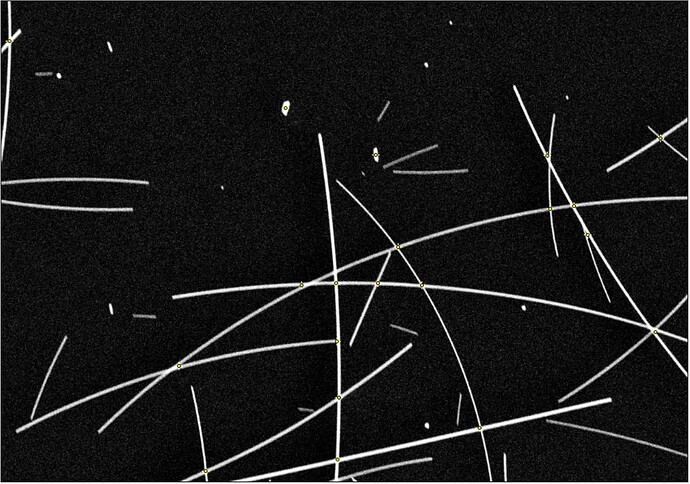 Counting Line Intersections Using Imagej Image Analysis Imagesc Forum 8501