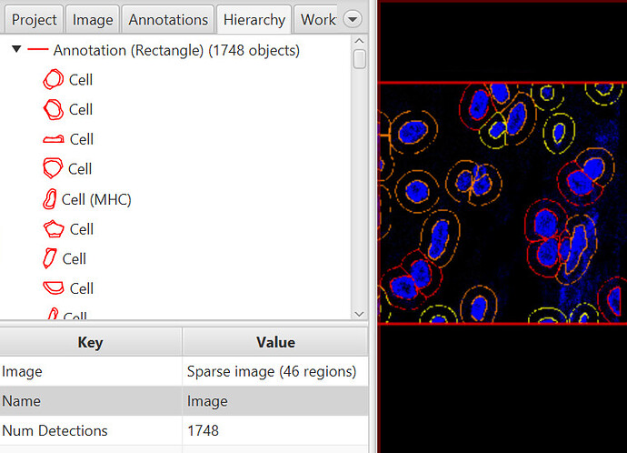 Using Cellpose mask in QuPath- cell detection - Image Analysis - Image.sc Forum
