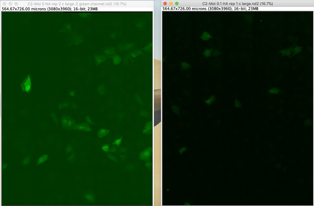 Weka Segmentization: A Beginner's Questions regarding multi-image ...