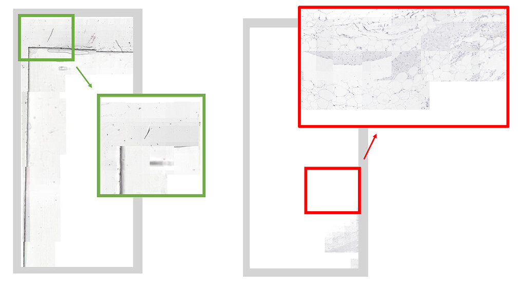 Visualization problem with TIF in Cytomine - Usage & Issues - Image.sc Forum