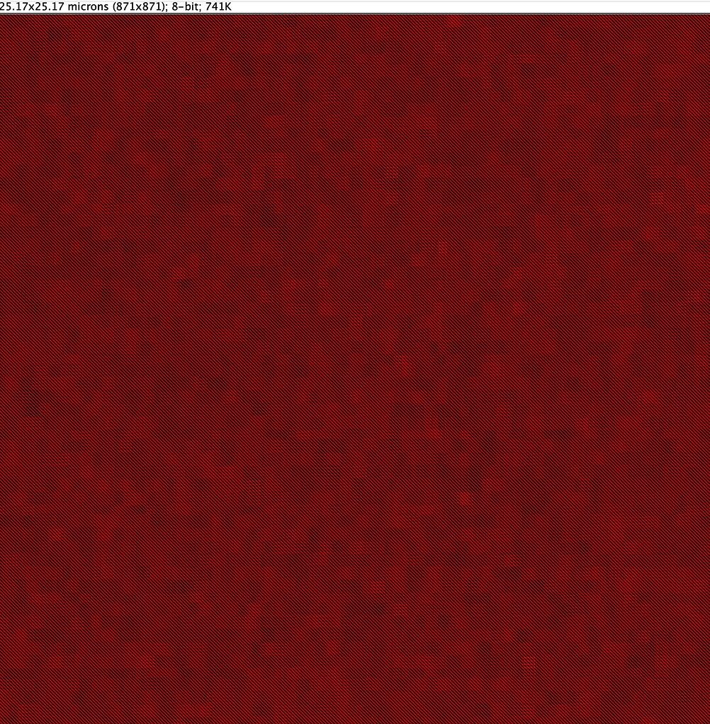 Help with Bio-Formats in Fiji: Opening Snapshots from Volocity - Usage & Issues - Image.sc Forum