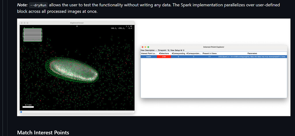 How To Visualize Interest Points Detected With Bigstitcher Spark In Bigdataviewer Usage