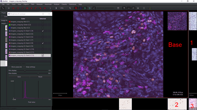 ᴗ•)/ QuPath scripting (#4): Image Combiner (register images and create ...