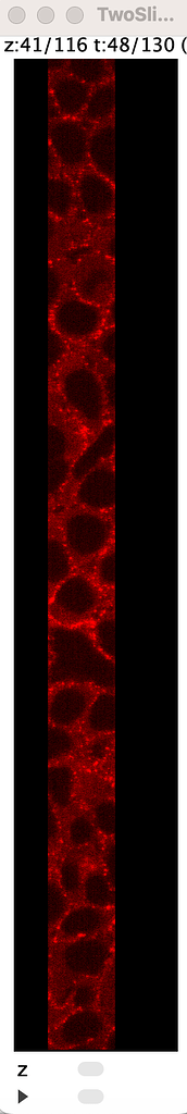 Facing Problems while working with AICSImage package for CZI files ...