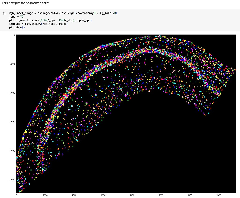 How To Export Qupath Stardist Segmentation Data As Coo Matrix Usage And Issues Image Sc Forum