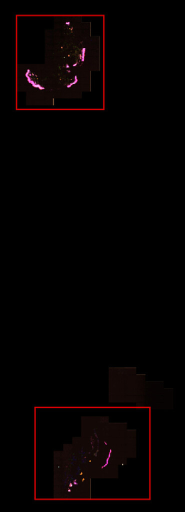 Cropping Multi-Channel Immunofluorescence? - Usage & Issues - Image.sc Forum