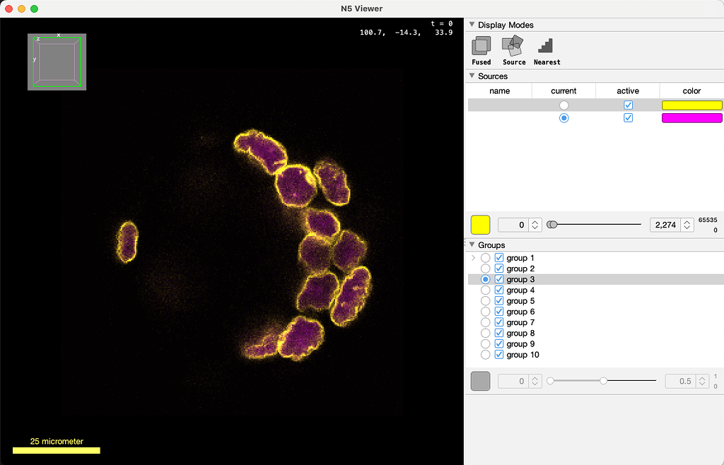 BigDataViewer display of OME-Zarr labels - Usage & Issues - Image.sc Forum