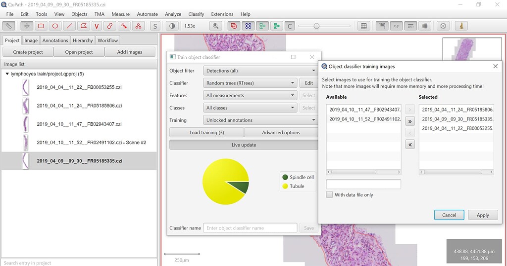Training Classifier with multiple training images - Image Analysis - Image.sc Forum