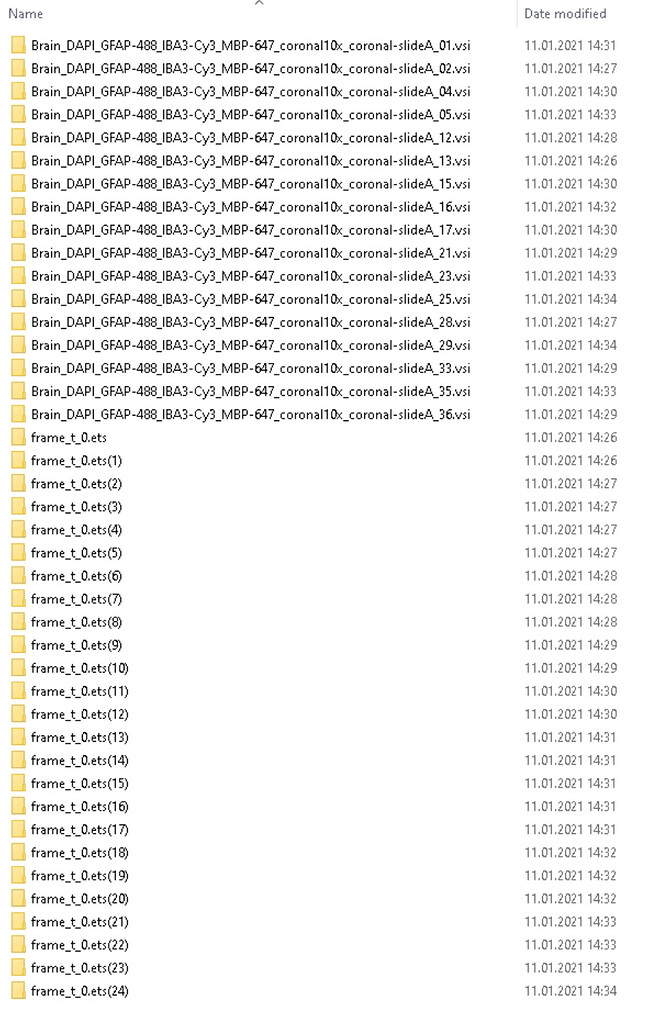 Olympus .vsi download bug using OMERO.insight - Usage & Issues - Image ...