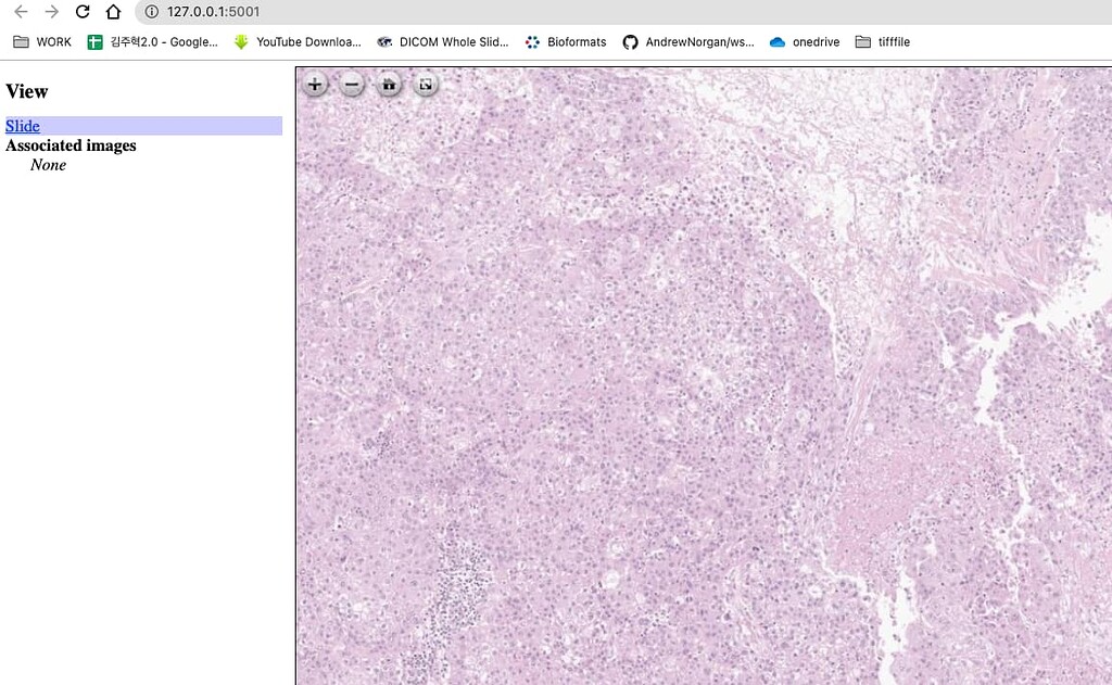 Adding thumbnail to BigTiff files and read with deepzoom.py from Openslide-python - Usage ...