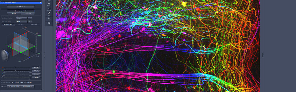 Online course: Deep Learning for Bioimage Analysis - Announcements ...