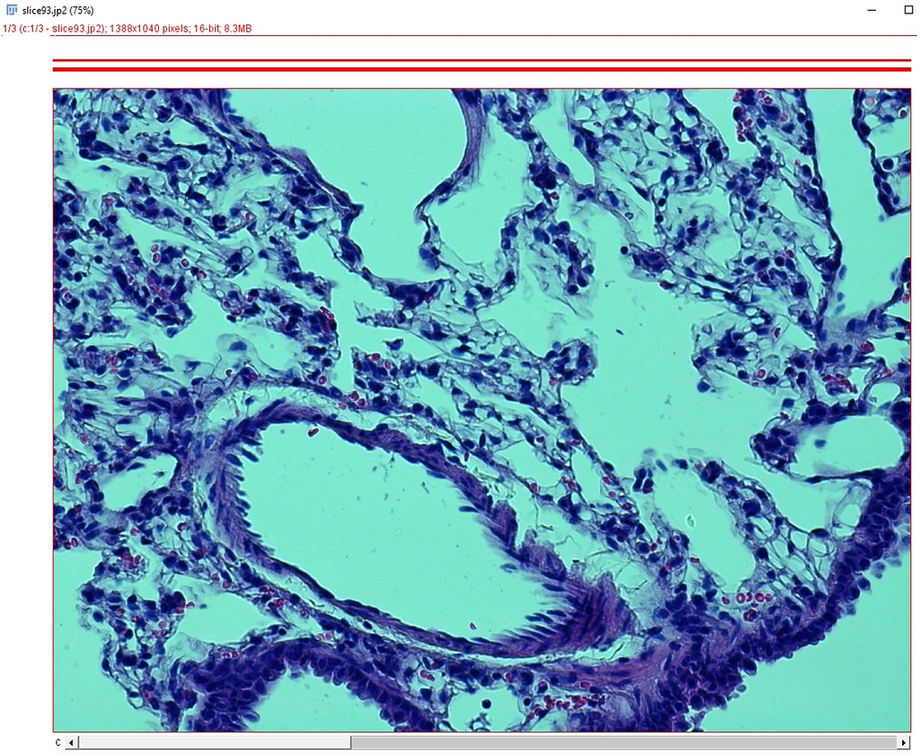 Uploading .JP2 files through Bio-formats extension results in blue ...
