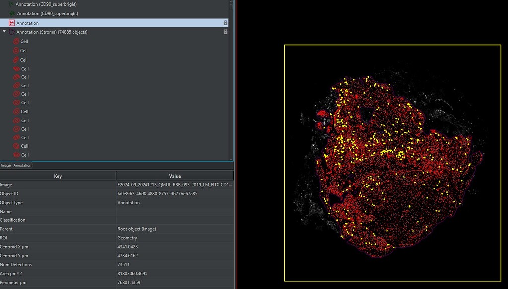How to I transfer an annotation in Qupath - Image Analysis - Image.sc Forum