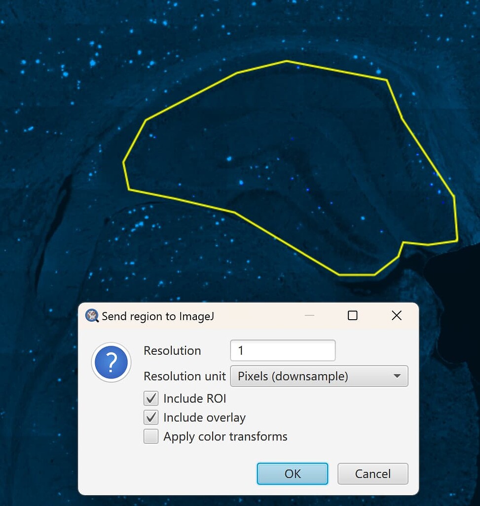 Exporting ROI from QuPath to ImageJ with raw Brightness/Contrast settings - Image Analysis ...
