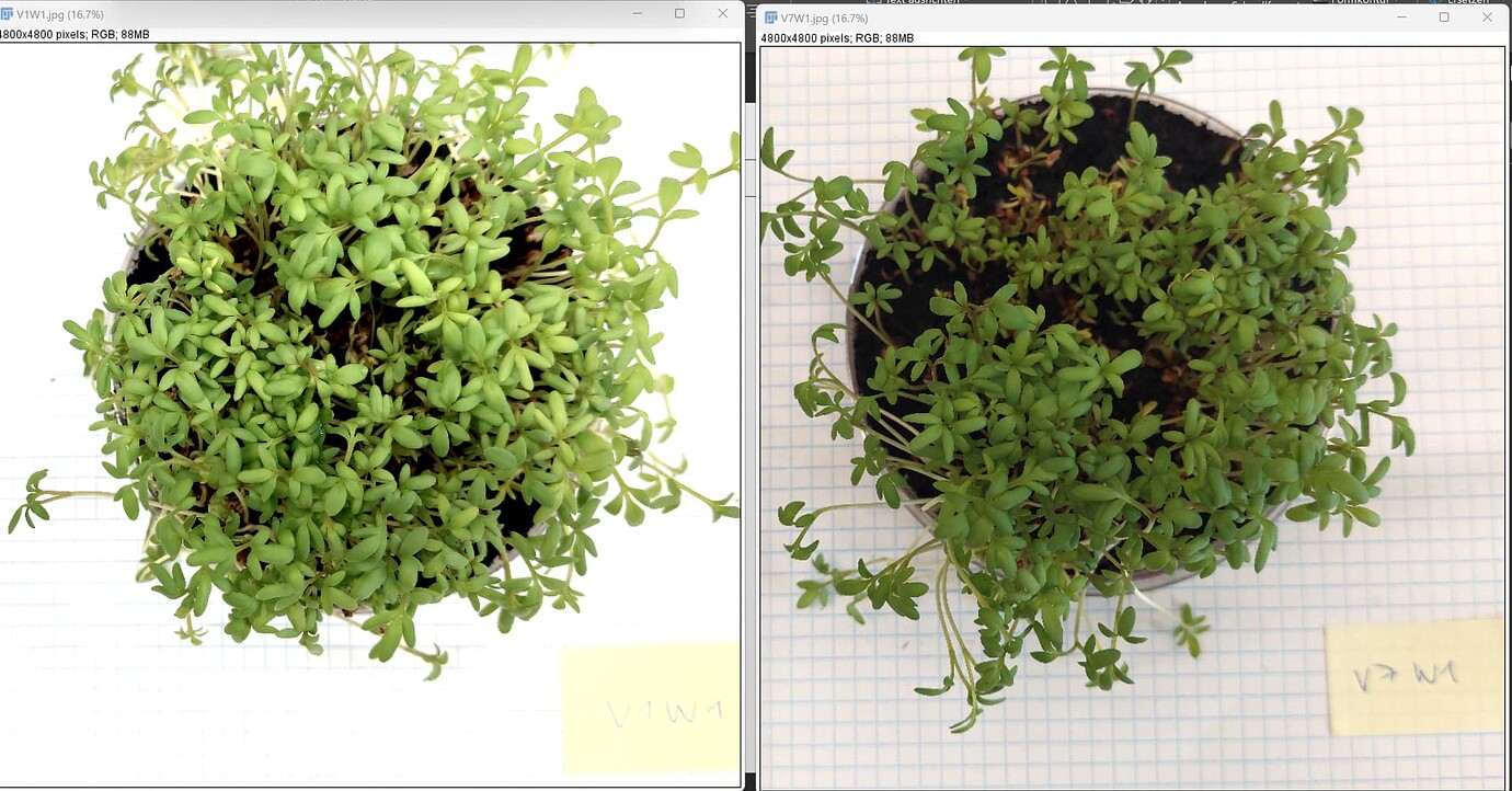 How to automatically adjust the brightness of multiple pictures with ...