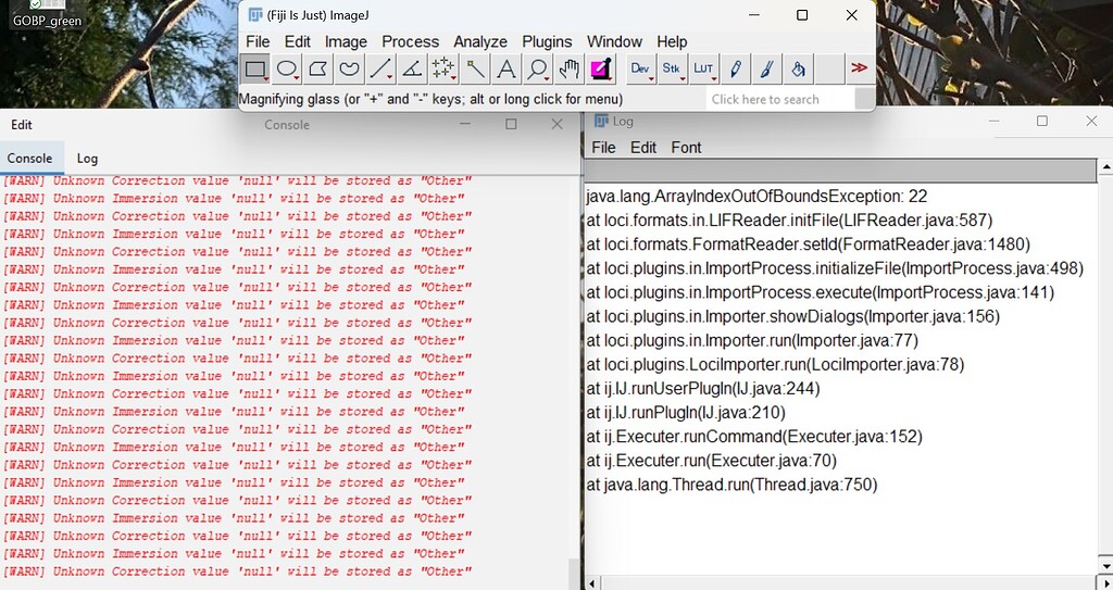 Fiji error while importing .lif files through Bio-Formats - Usage & Issues - Image.sc Forum