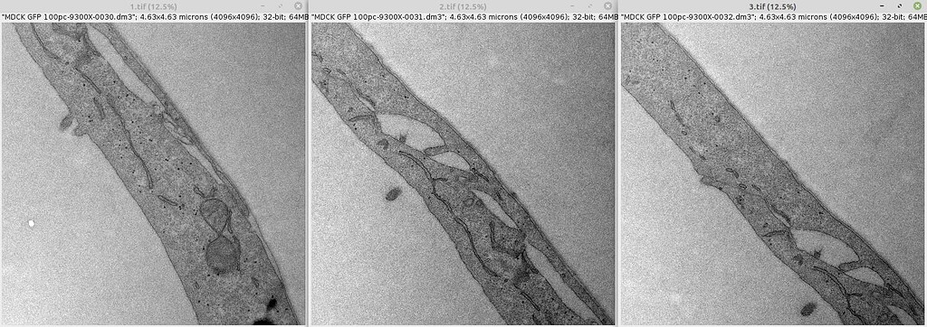 Automatic stitching algorithm - Development - Image.sc Forum