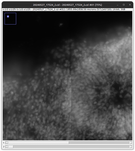 Understanding CZI tiles structure and accessing single tiles - Usage ...