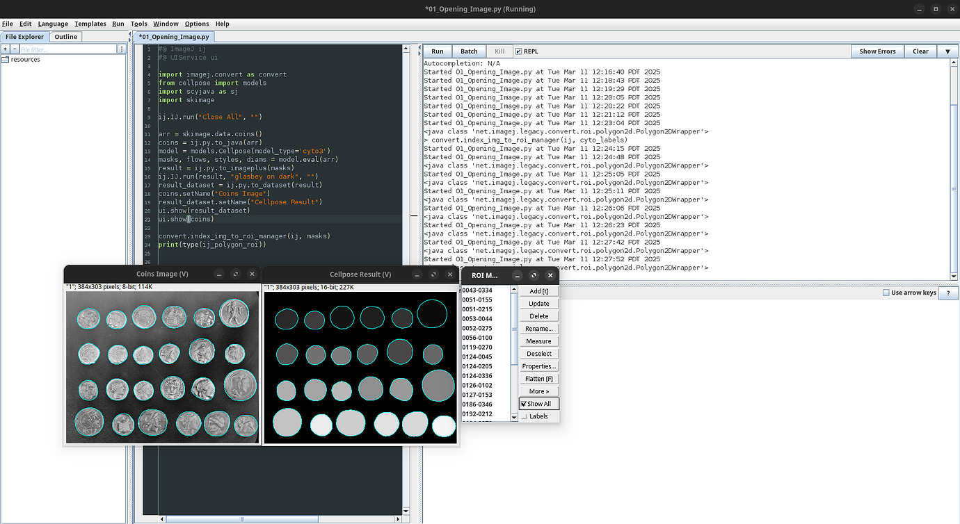 Fiji 2024 Year in Review: Milestones and Roadmap - Announcements - Image.sc Forum