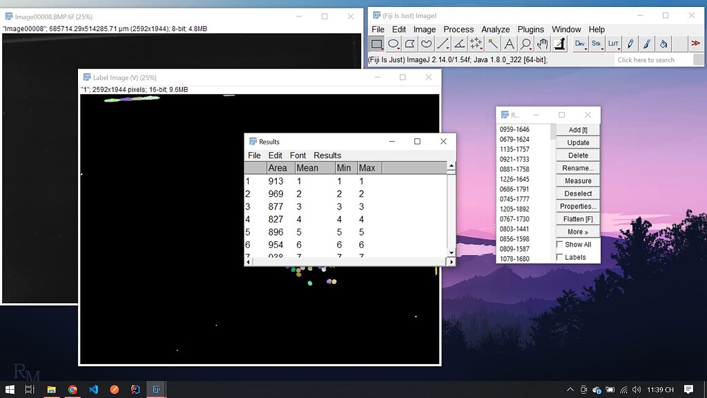 Measure tab in ROI Manager fiji - Usage & Issues - Image.sc Forum