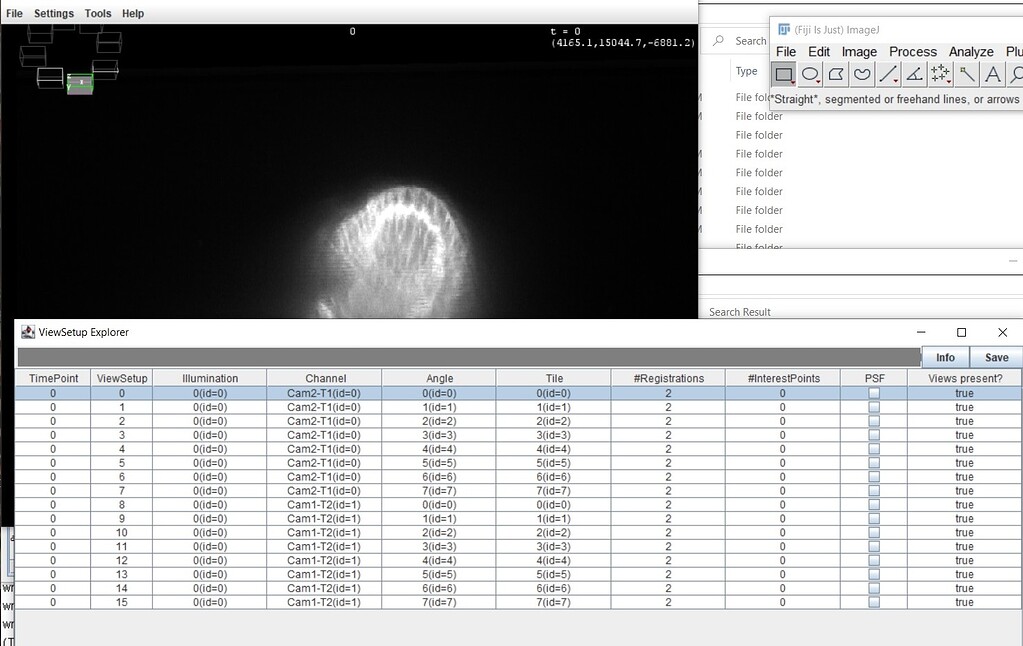 Multiview reconstruction update - problem with registration - Usage & Issues - Image.sc Forum