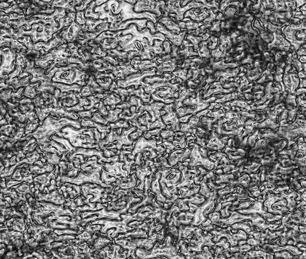 Trainable Weka Segmentation on "complex" dataset - Image Analysis - Image.sc Forum