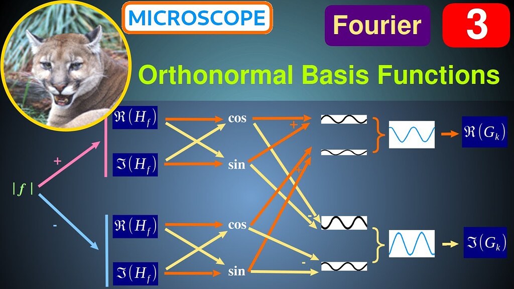 Fourier 3: The outputs and symmetries of the Fourier transform - Announcements - Image.sc Forum
