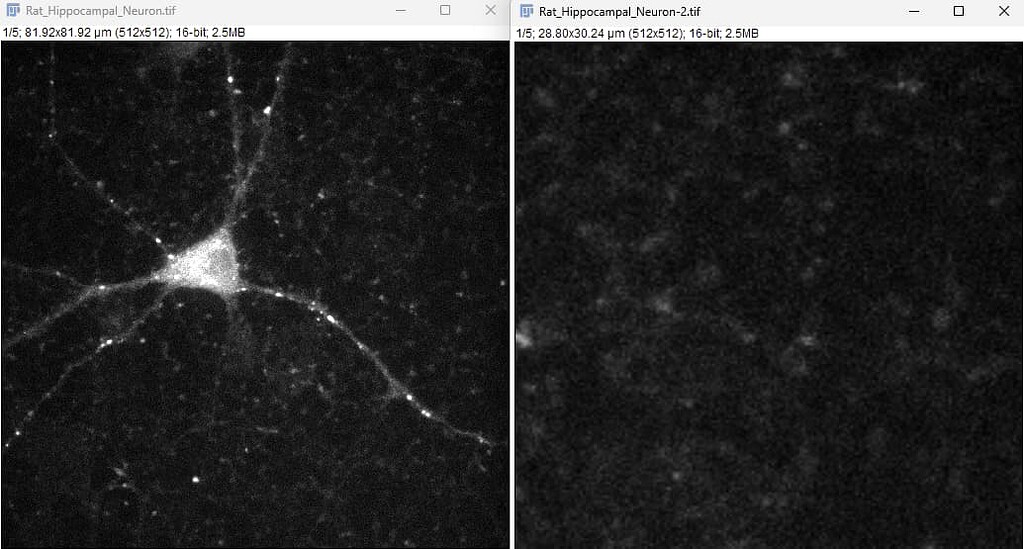 Threshold blanc images - Image Analysis - Image.sc Forum