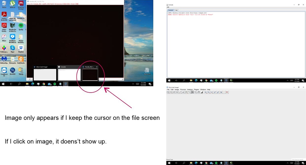 Cannot open any images (.czi, tiff,...) and even open new image - Usage & Issues - Image.sc Forum