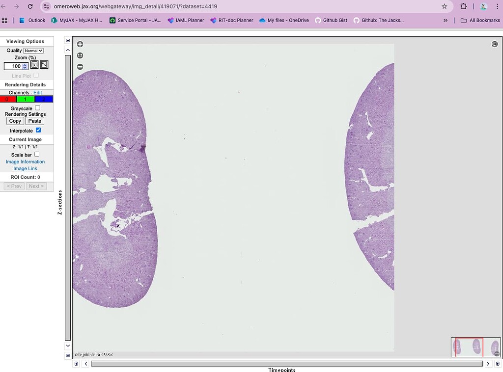 NDPIs don't load fully in OMERO viewer after update to OMERO.server 5.6.14 - Usage & Issues ...