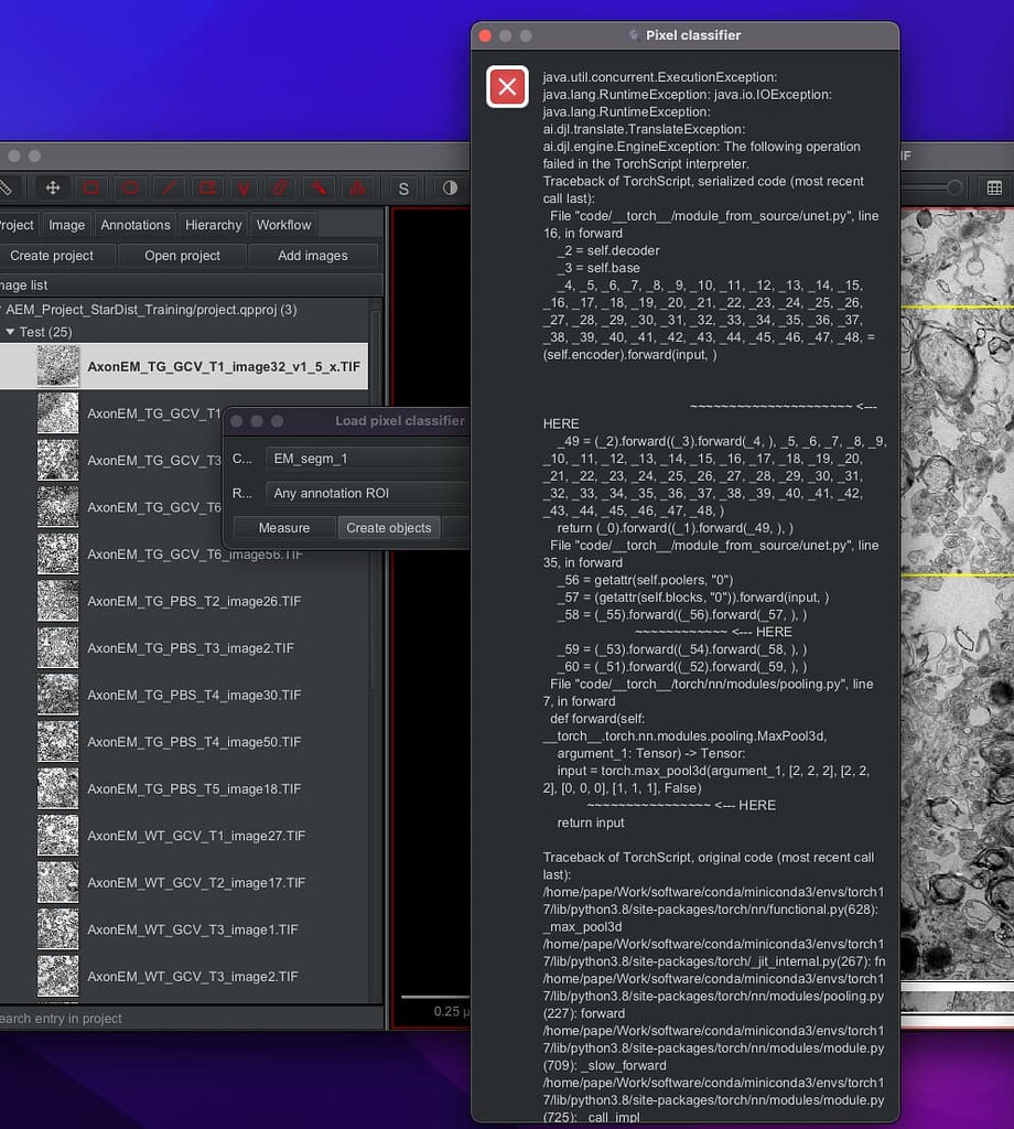 BIoimage Model Zoo-Extension - everything works... almost! - Image ...