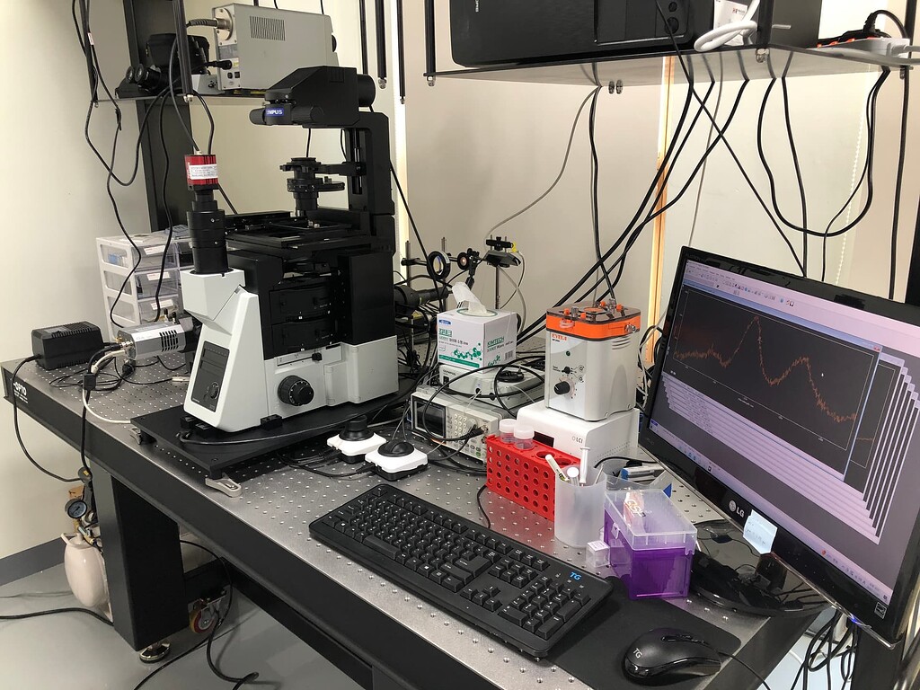 Programming with Micro-Manager software to control the Olympus IX73 microscope and perform auto ...
