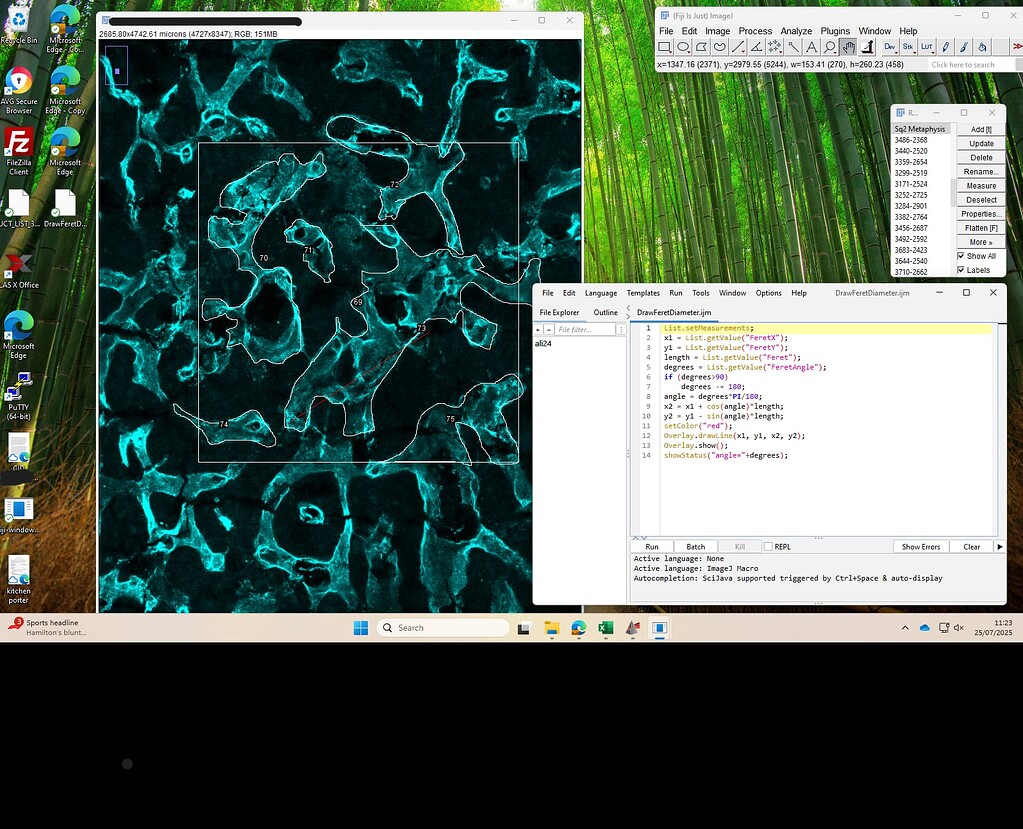 Feret Diameter analysis - Image Analysis - Image.sc Forum