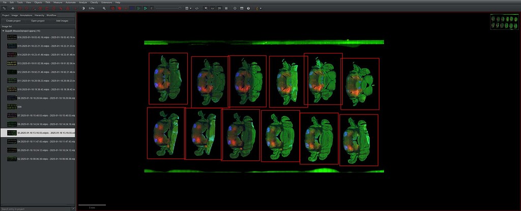Batch render and export of annotated regions of slidescanner image - Usage & Issues - Image.sc Forum